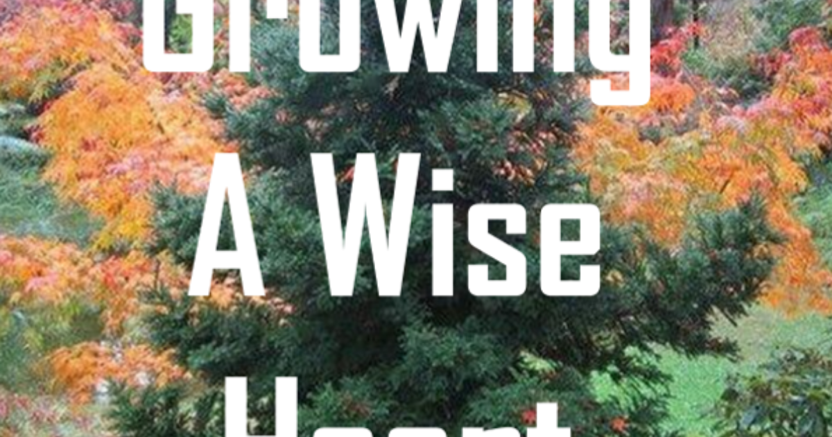 Partners In Hope | Grow A Wise Heart