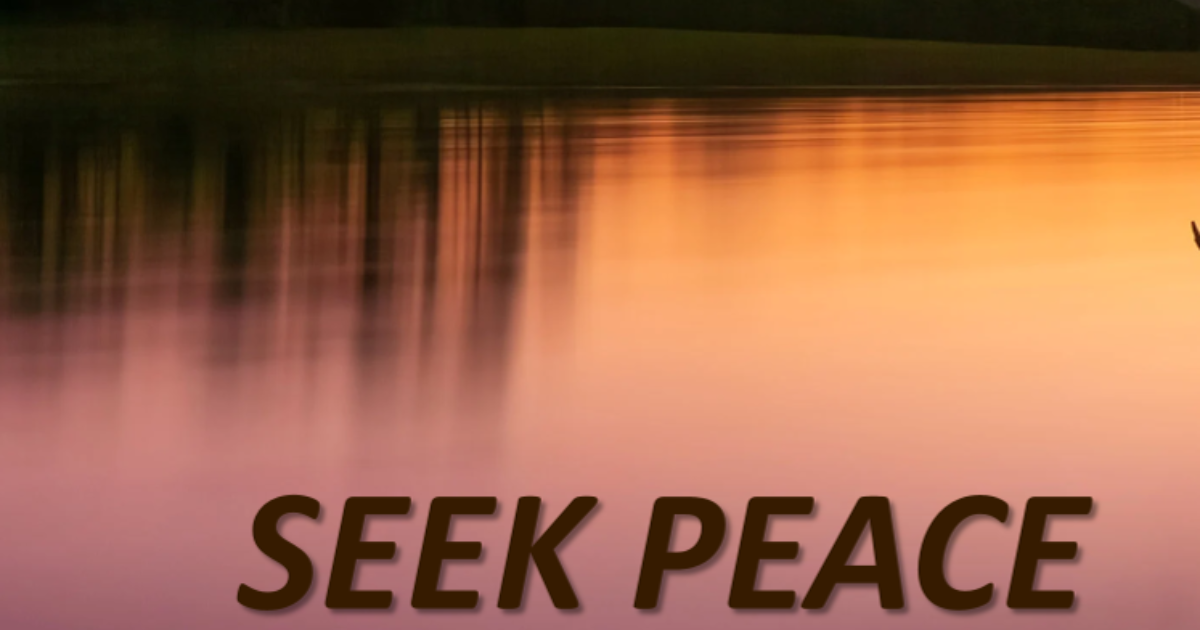 Partners In Hope | Seek Peace